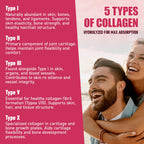 types I II III V X collagen