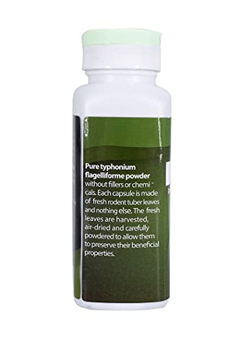 Typhonium Flagelliforme for balanced nutrition