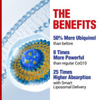 ubiquinol coq10 antioxidant benefits