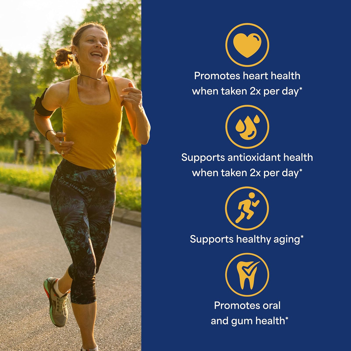 Ubiquinol CoQ10 antioxidant support