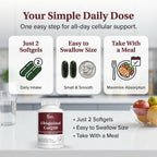 Ubiquinol CoQ10 for active lifestyle