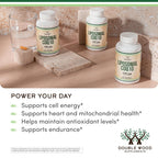 ubiquinol coq10 for antioxidant protection
