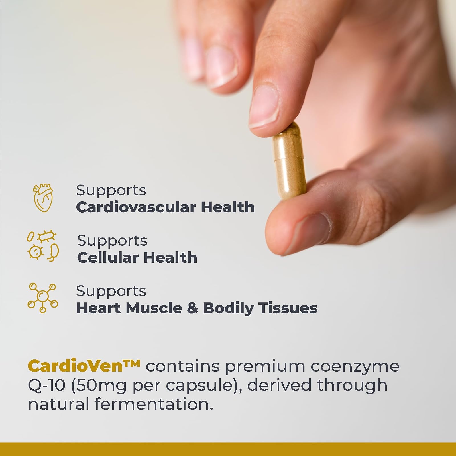 ubiquinol coq10 for antioxidant support