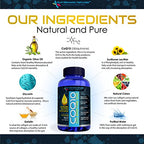 ubiquinol coq10 for energy support