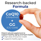 Ubiquinol CoQ10 for improved stamina