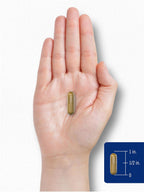 Ubiquinol for antioxidant support
