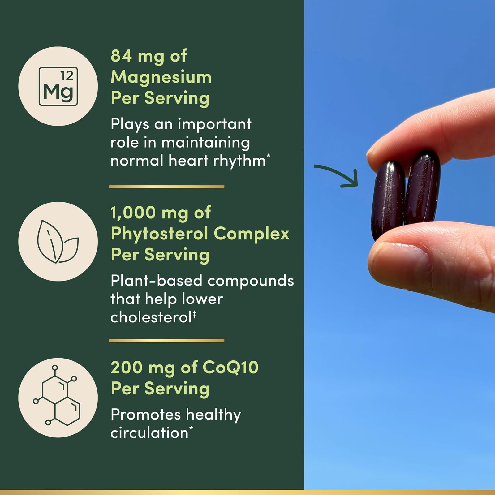 Ubiquinol for energy production