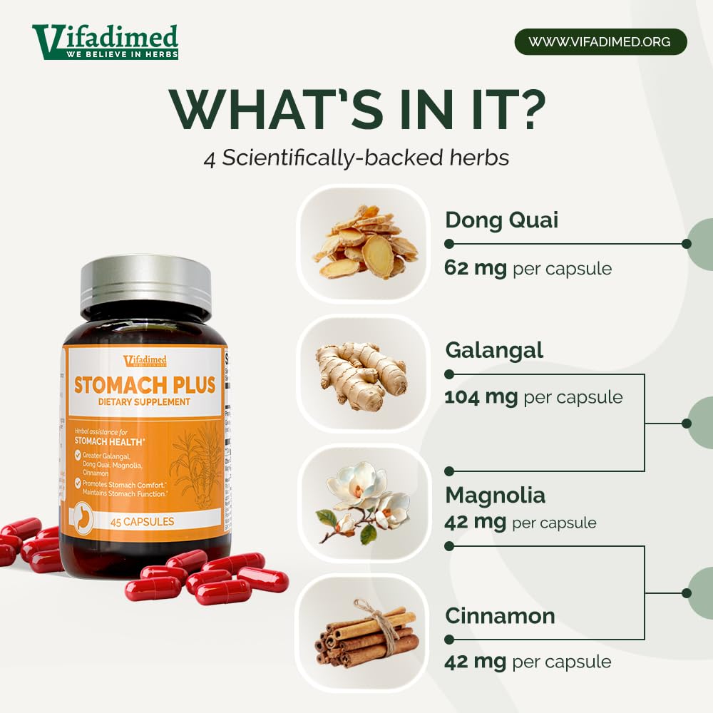 ulcer support with digestive enzymes