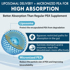 Ulmubra multivitamin for men’s health