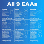 Ultimate amino acids for daily wellness