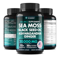 ultimate immune defense blend