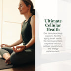 ultimate multivitamin for men