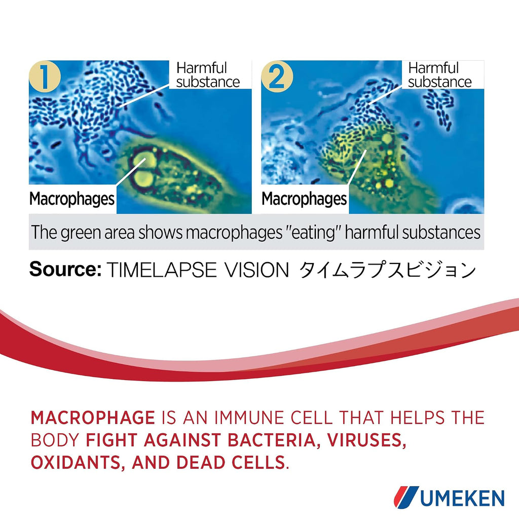 Umeken Lipopo energy-boosting vitamins