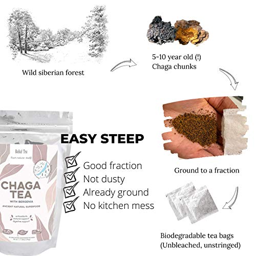 unbleached tea bags for chaga tea