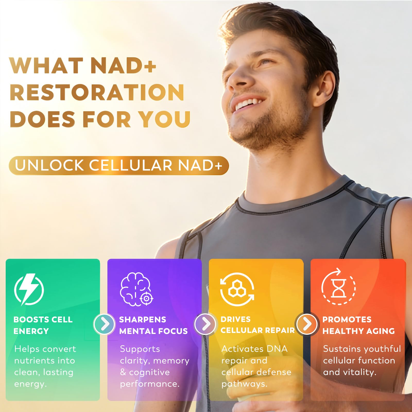 UNcena resveratrol antioxidant benefits