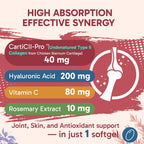 undenatured type 2 collagen benefits