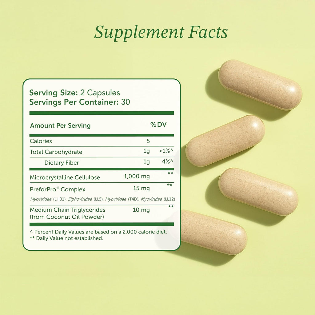 understanding prebiotics vs probiotics benefits