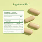 understanding prebiotics vs probiotics benefits