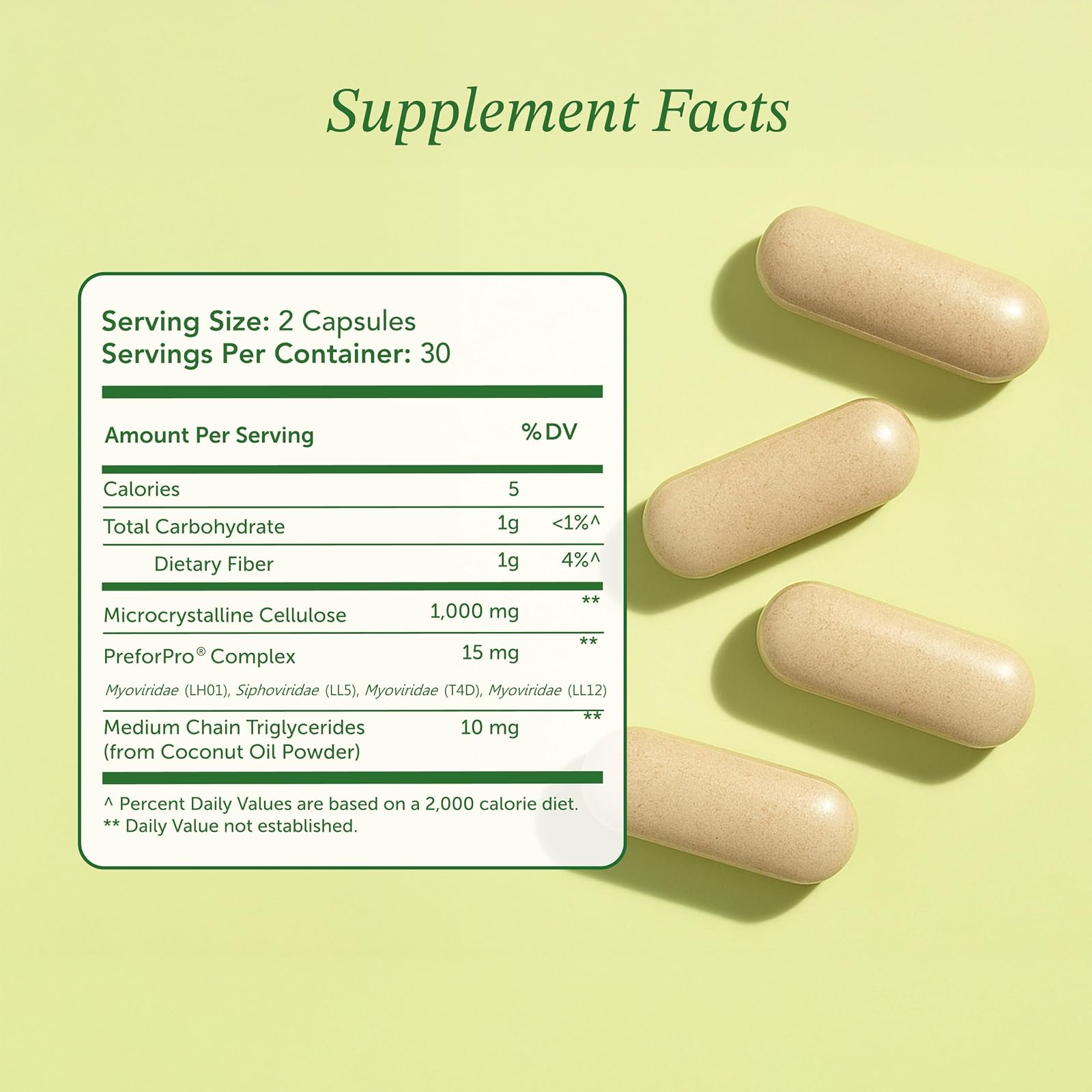 understanding prebiotics vs probiotics benefits