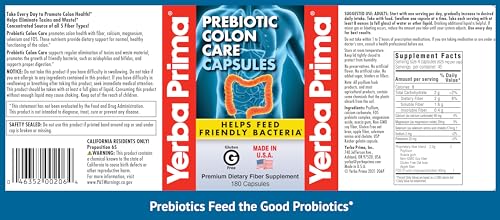 understanding prebiotics vs probiotics