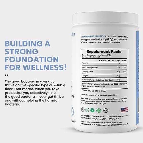understanding prebiotics vs probiotics