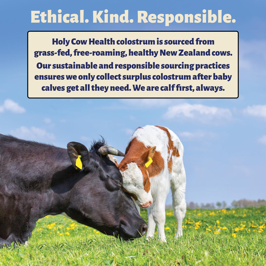 undiluted colostrum for nutritional support