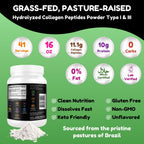 unflavored collagen powder for smoothies