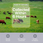 unflavored colostrum for immune support