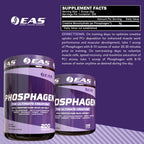 unflavored creatine monohydrate supplement