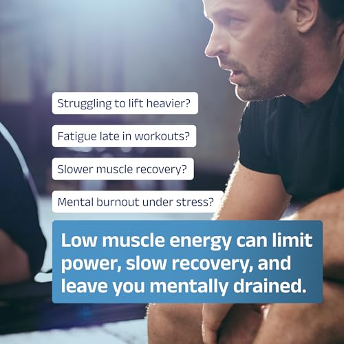 Unflavored creatine powder for athletes