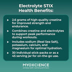 unflavored electrolyte STIX for daily use