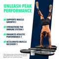 unflavored L-Glutamine for versatile use