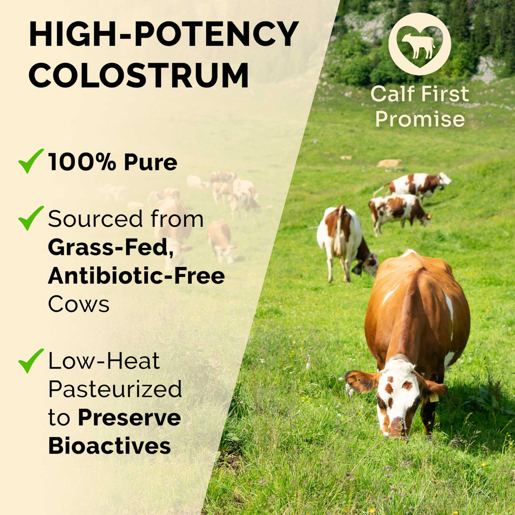 unflavored superfood for wellness