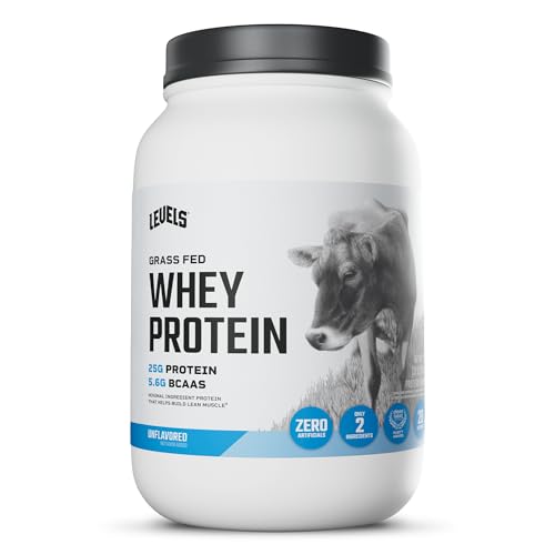 unflavored whey protein powder