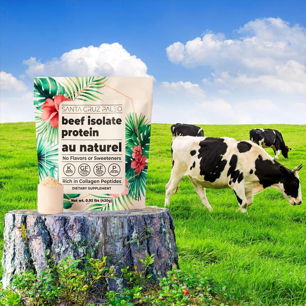 unflavoured plant based protein option