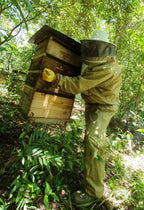Uniflora propolis for overall wellness