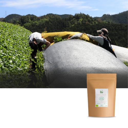 unique flavor of genmaicha green tea