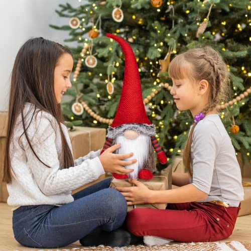 Unique holiday gnome gift idea