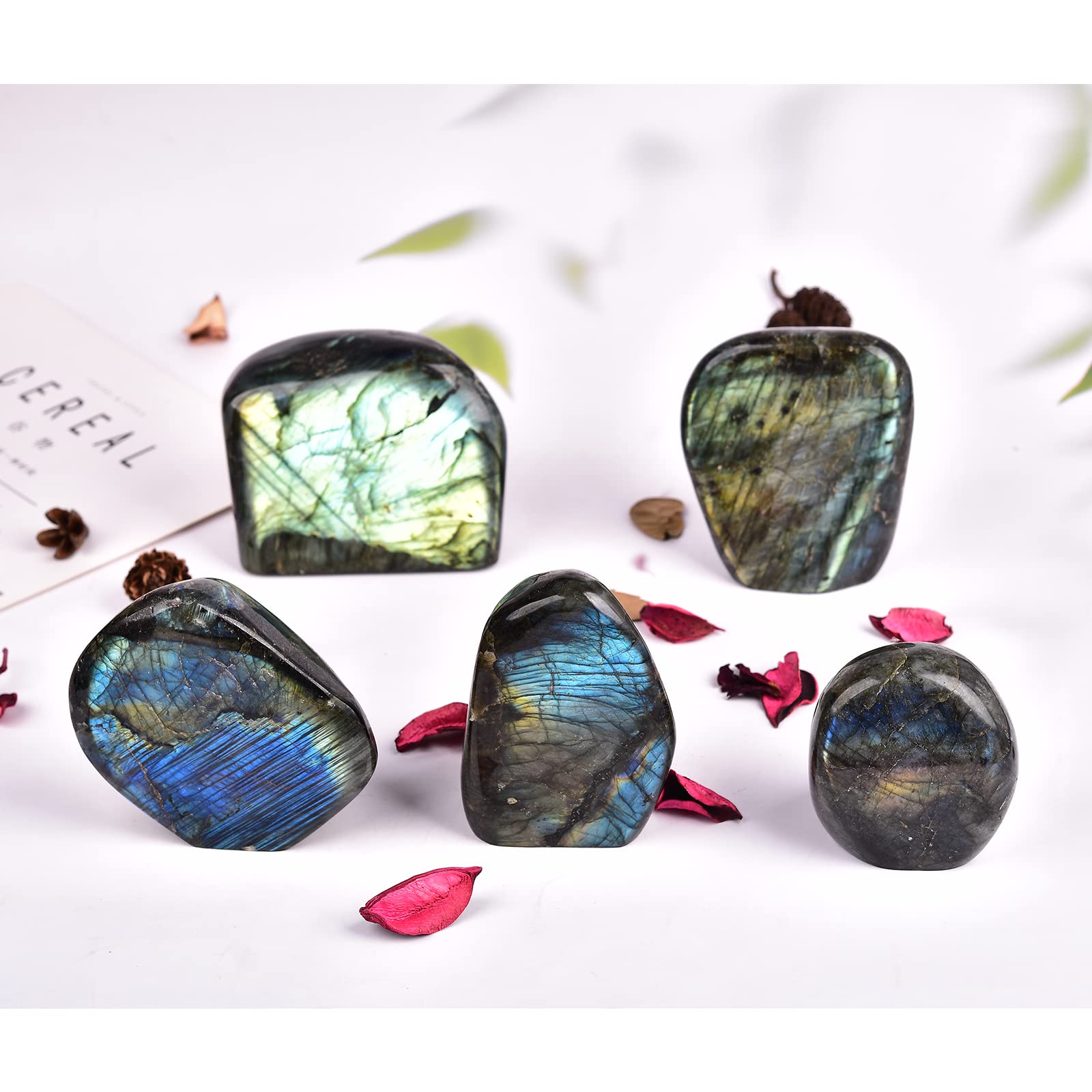 unique Labradorite palm stone design