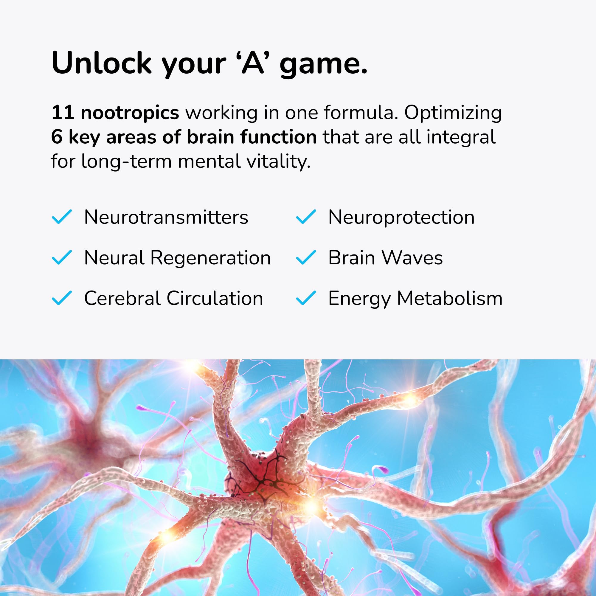 universal nootropic for cognitive health