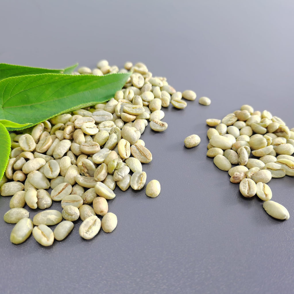 unroasted coffee beans health benefits
