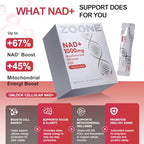 Updated NAD Plus energy support
