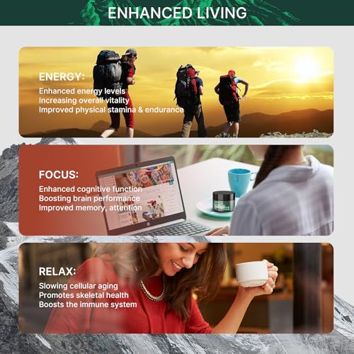 Upgrade Shilajit for natural energy