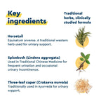 Uqora multivitamin for men’s wellness