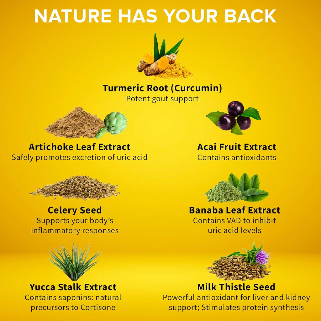 Urcinol capsules for daily wellness support