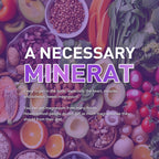 URDRU magnesium malate health benefits