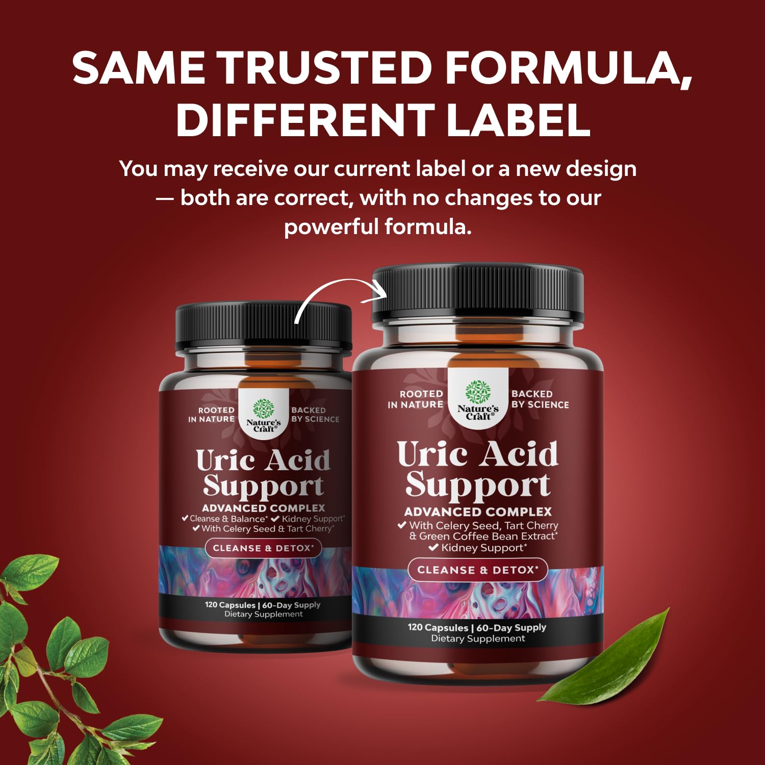 uric acid cleanse with tart cherry