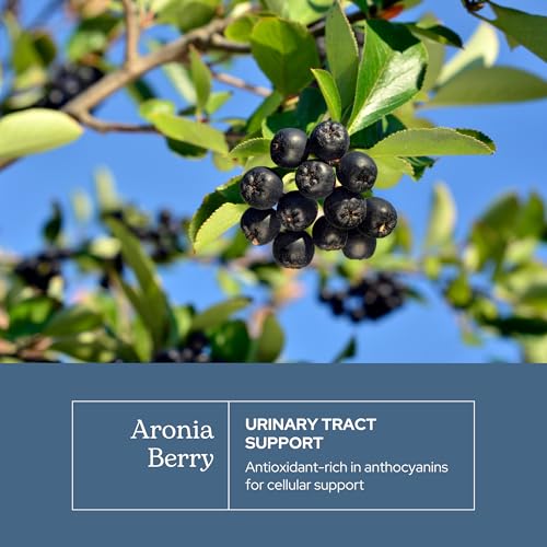 Urinary health benefits of aronia capsules