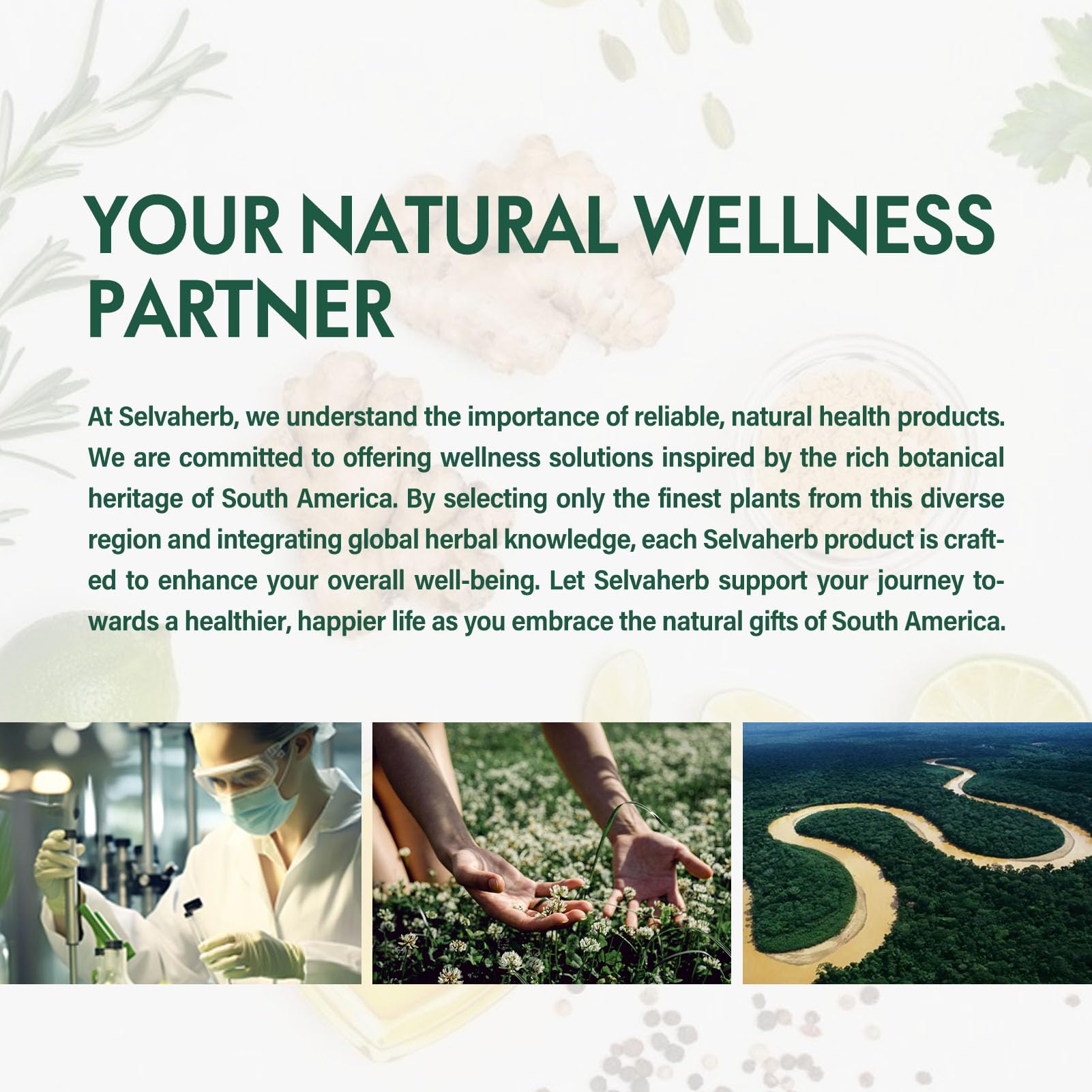 Urinary support with herbal extracts