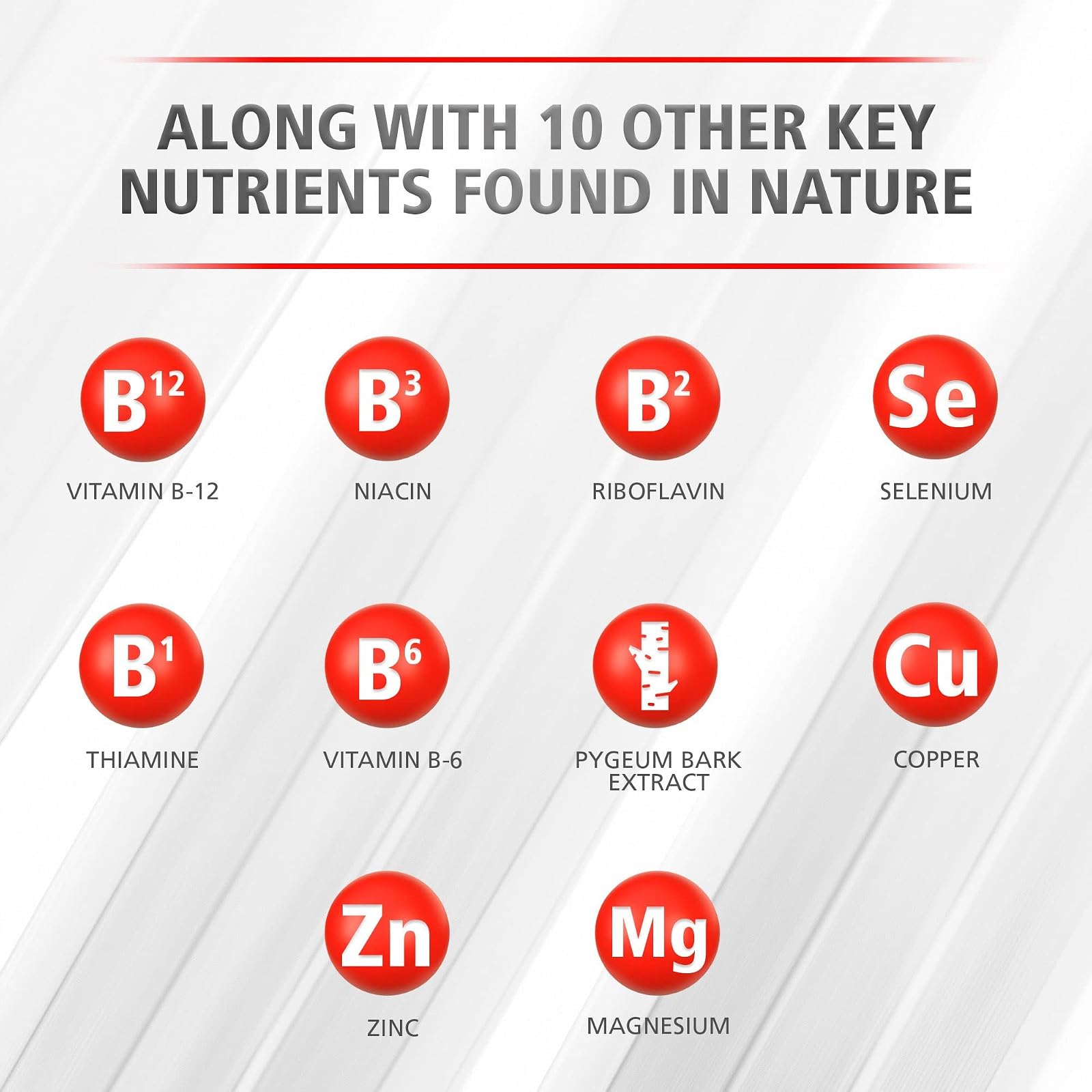 Urinozinc Classic capsules for vitality
